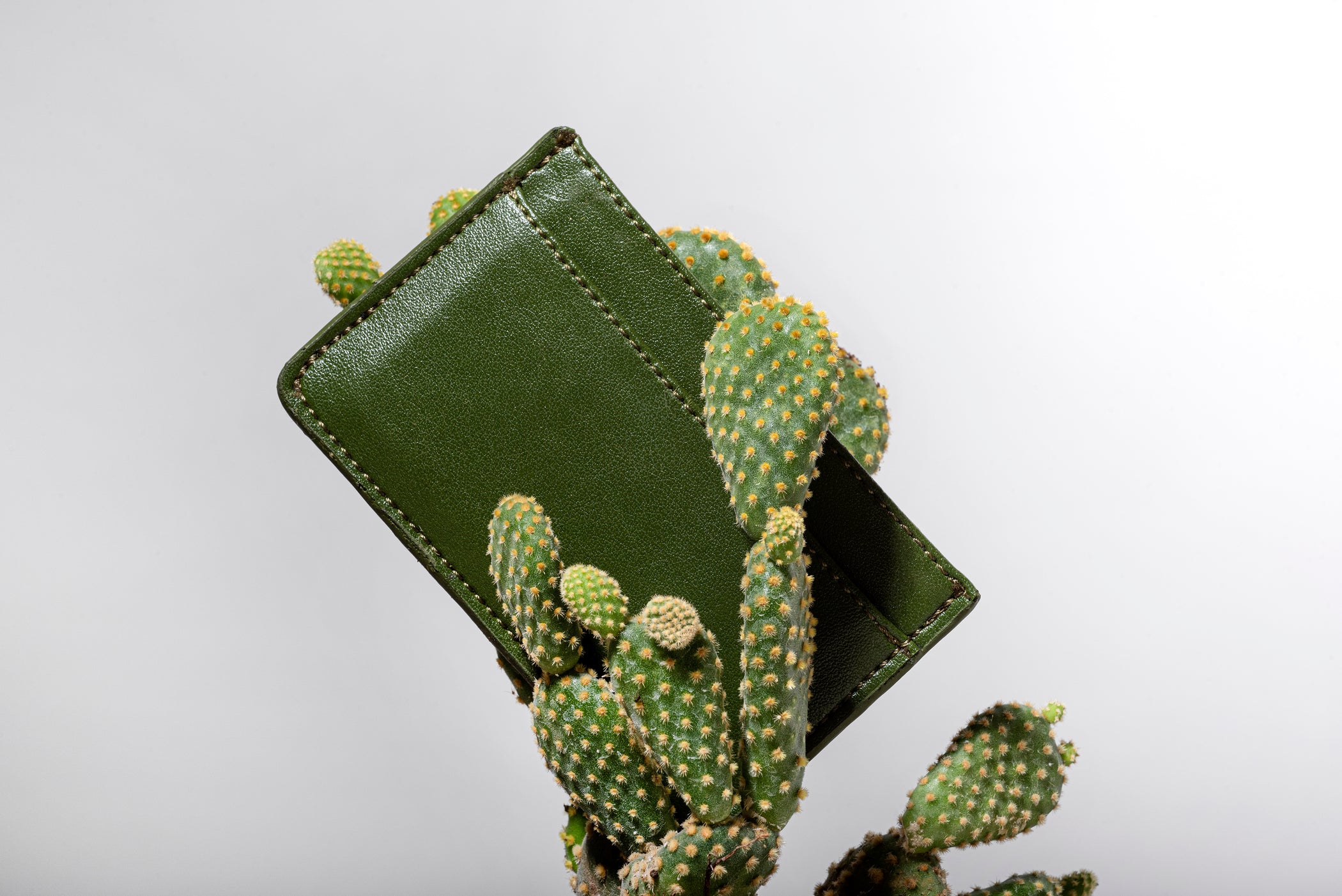 CACTO | Responsible Accessories Made of Cactus Leather