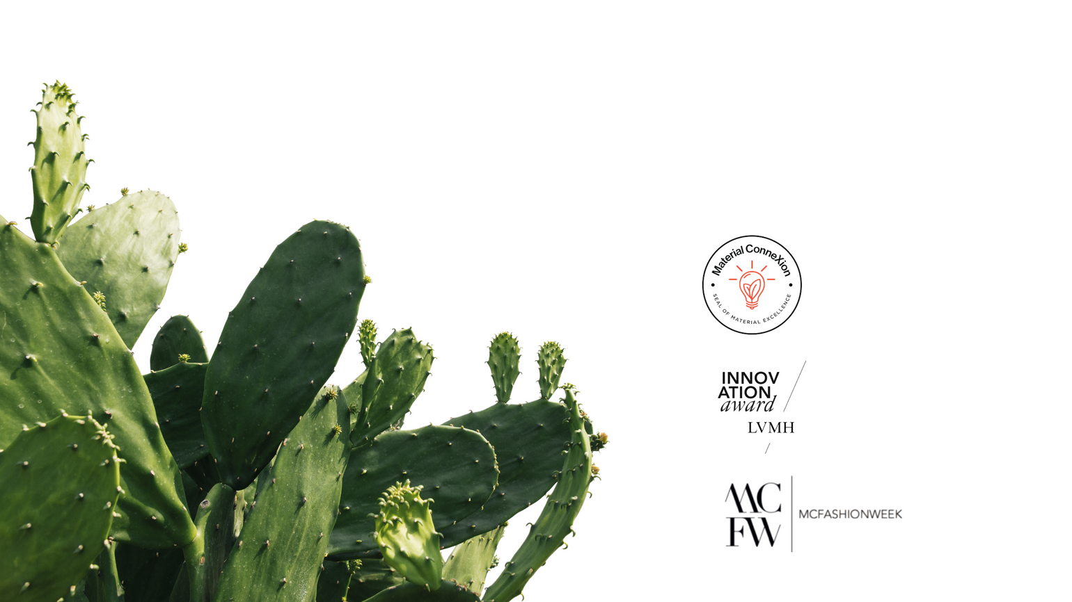 CACTO | Responsible Accessories Made of Cactus Leather