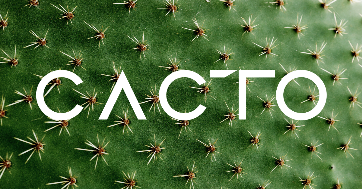 CACTO | Responsible Accessories Made of Cactus Leather